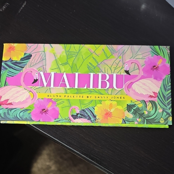 Sassy Jones | Makeup | Sassy Jones Malibu Blush Palette | Poshmark